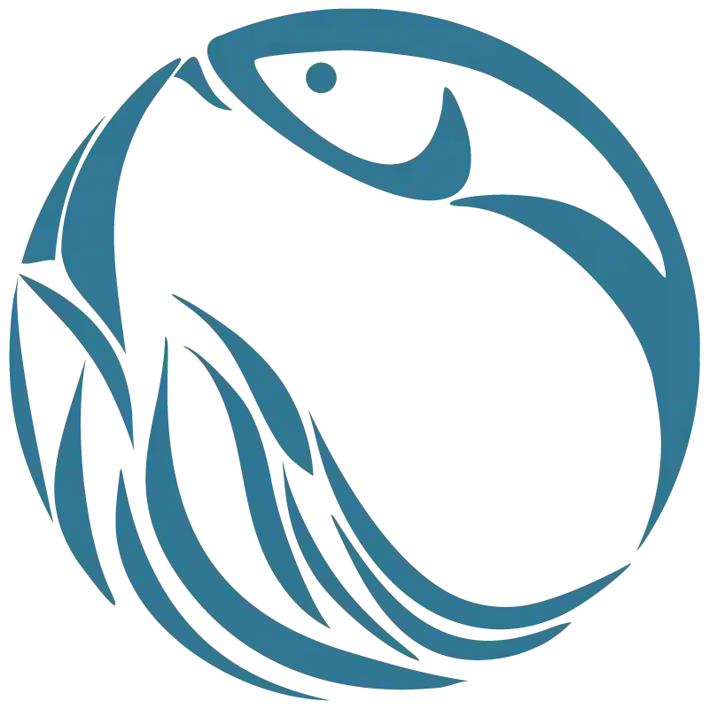 Home - Marselia Maldives